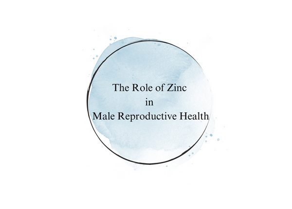 The Role of Zinc in Male Reproductive Health - Fertile Moon
