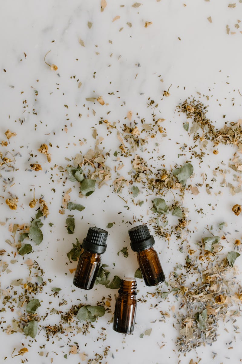 Natural Bug Repellents: Two Effective and Safe Options - Fertile Moon